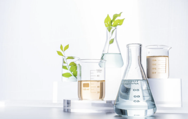 Exploring Skinner's Radical Behaviorism: A Comprehensive Approach to ...