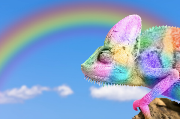 Imitation vs. Observational Learning: Understanding the Differences ...